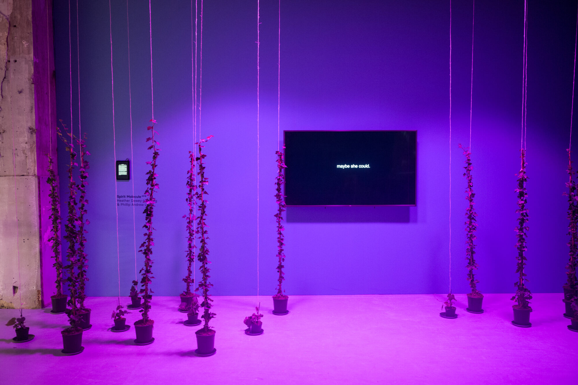 Plan your visit — MU